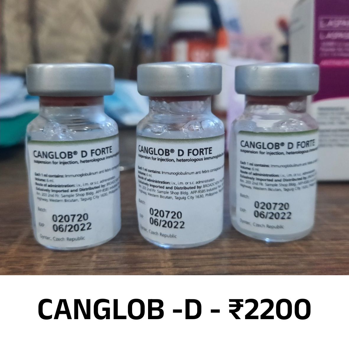 Distemper Treatment & Therapies - Earthlings Trust